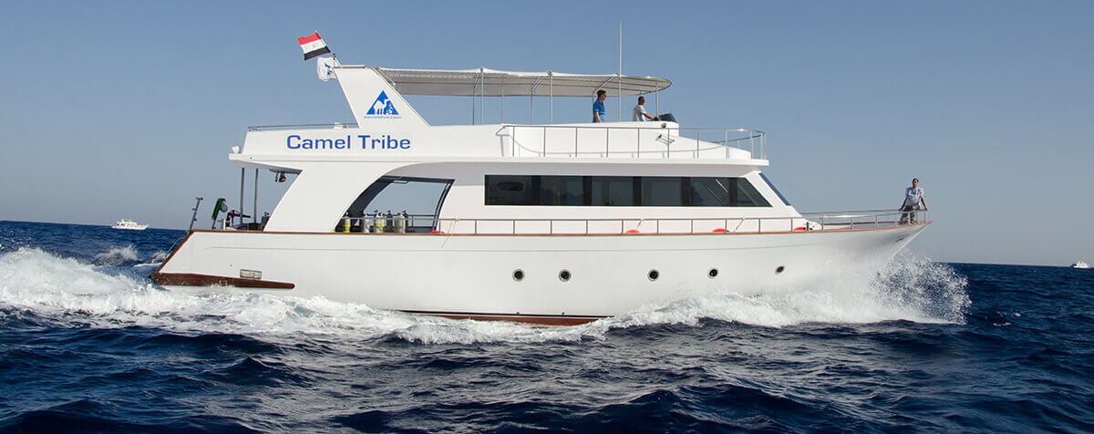 Camel Tribe boat in Sharm El Sheikh - Camel Dive Club & Hotel
