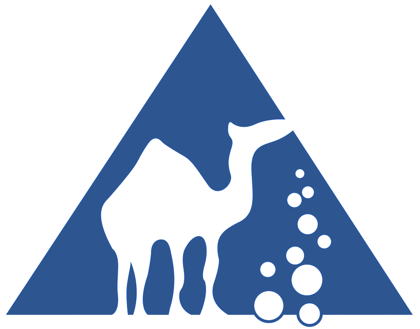 Diving Center in Sharm El Sheikh - Camel Dive Club & Hotel