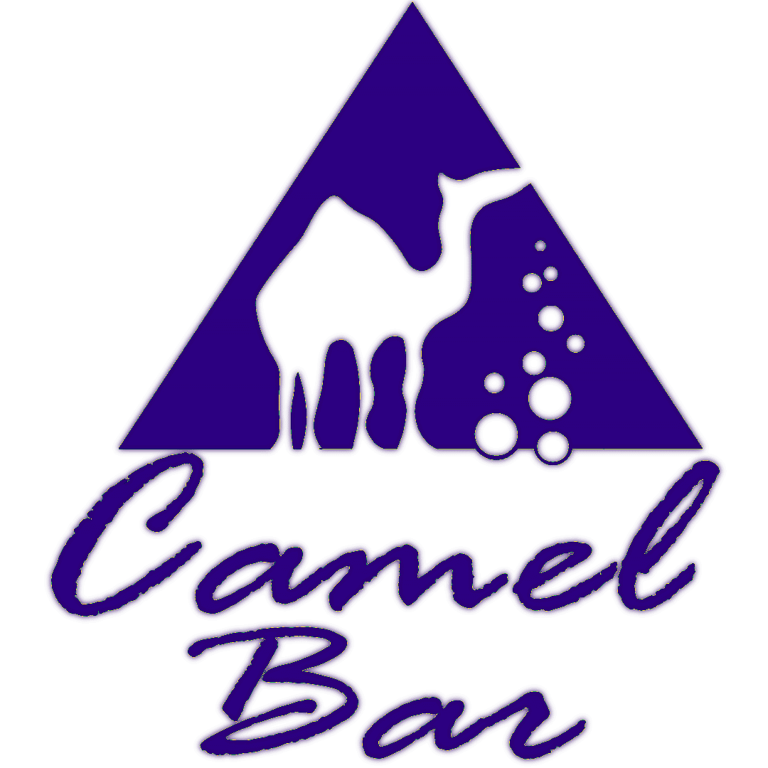 Camel Bar & Rooftop in Naama Bay - Camel Dive Club & Hotel