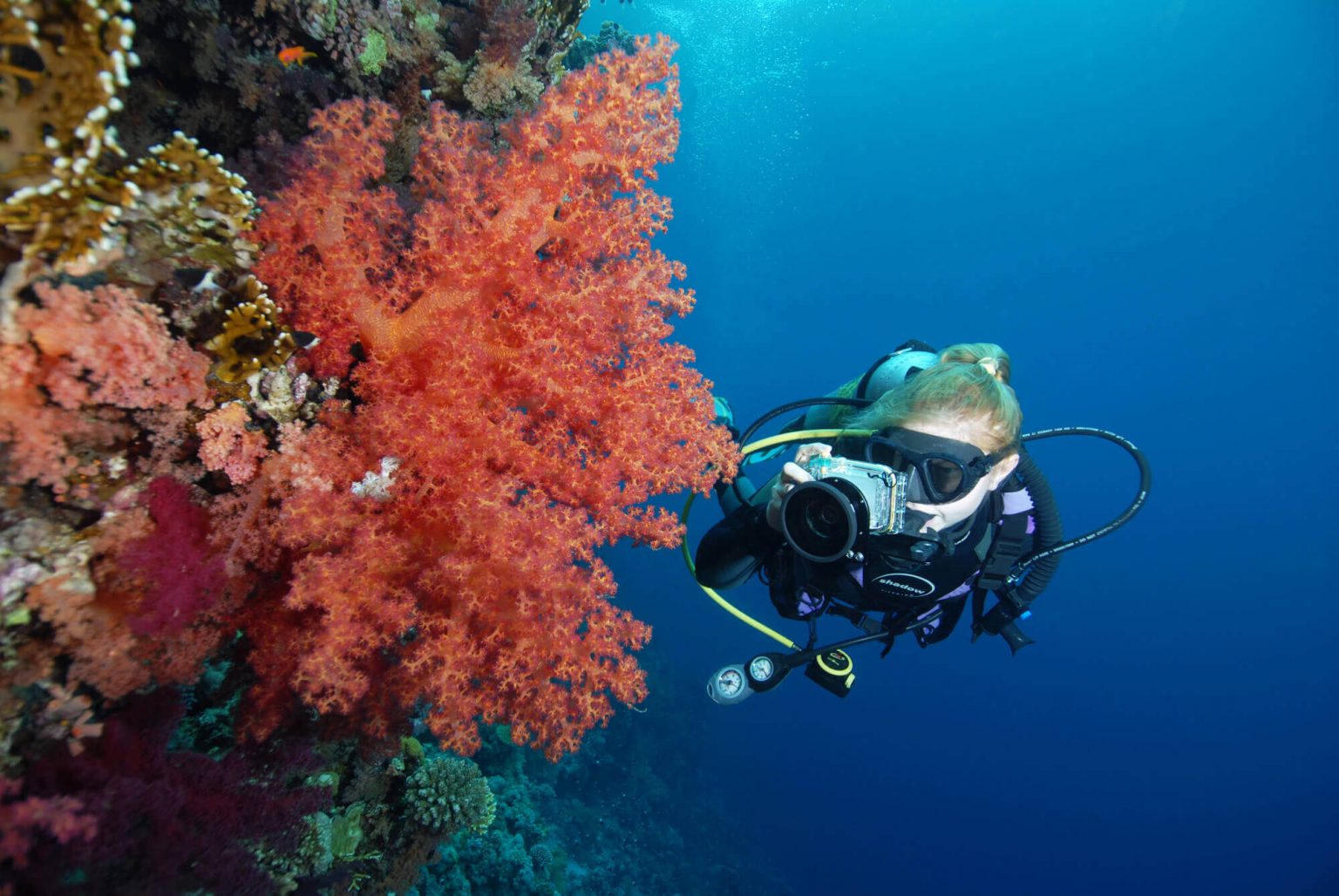 Improve Your Diving Skills Courses - Camel Dive Club & Hotel