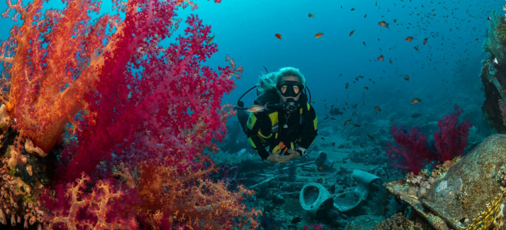 Camel Dive Club & Hotel - Camel Dive Club & Hotel