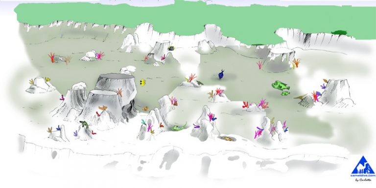 Ras Katy - Camel Dive Club & Hotel